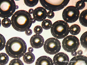 Oral Wellness Immunity Rinse | Twice Mouthwash